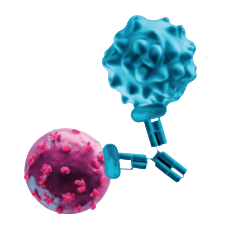 T-Cell Engager Therapeutics Summit Europe